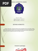 Pemeriksaan Neurologis LBP: Tes Lasegue & Lainnya | PDF