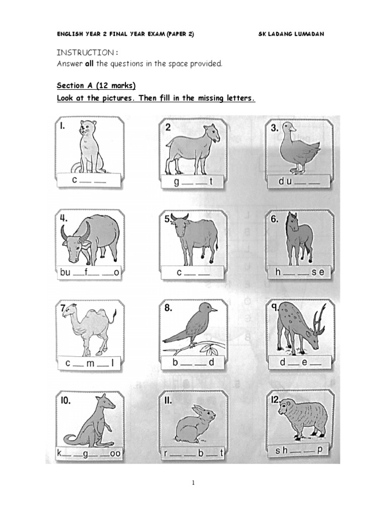 English Year 2 (Paper 2) | PDF | Milkshake