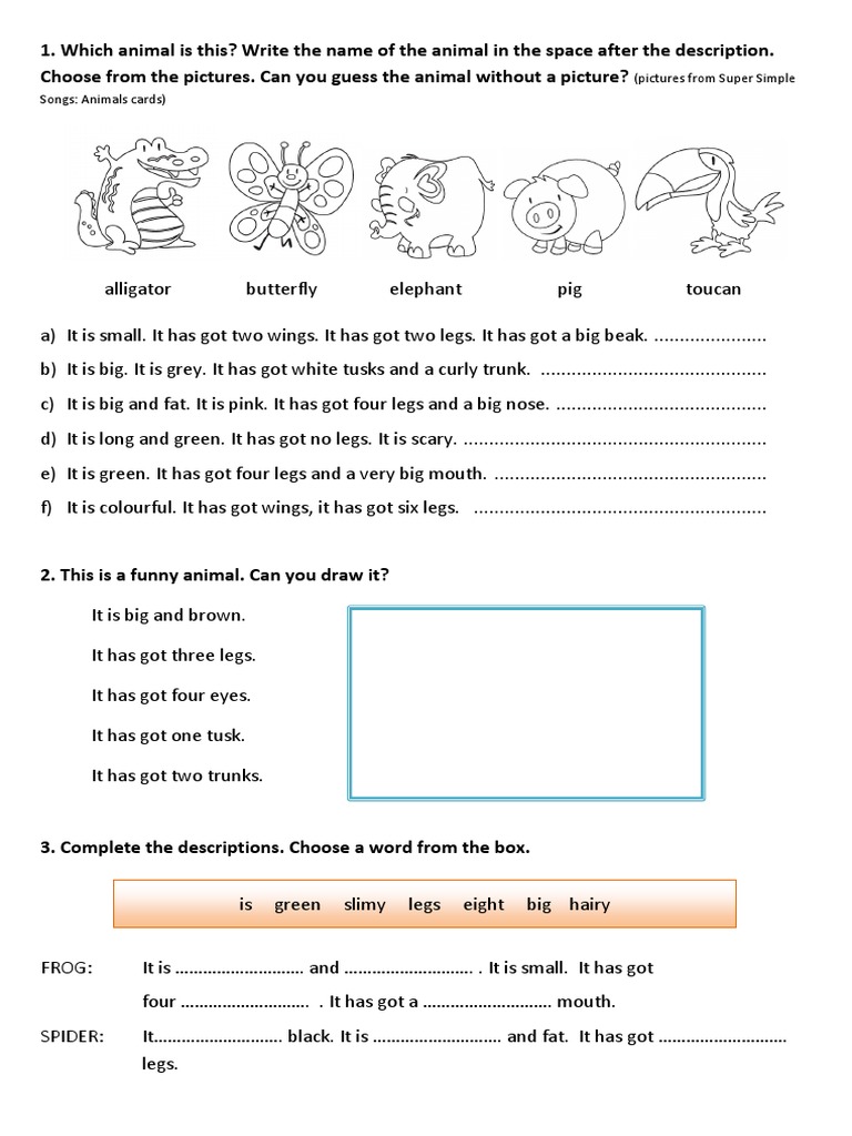 Animal Comprehension Worksheet | PDF