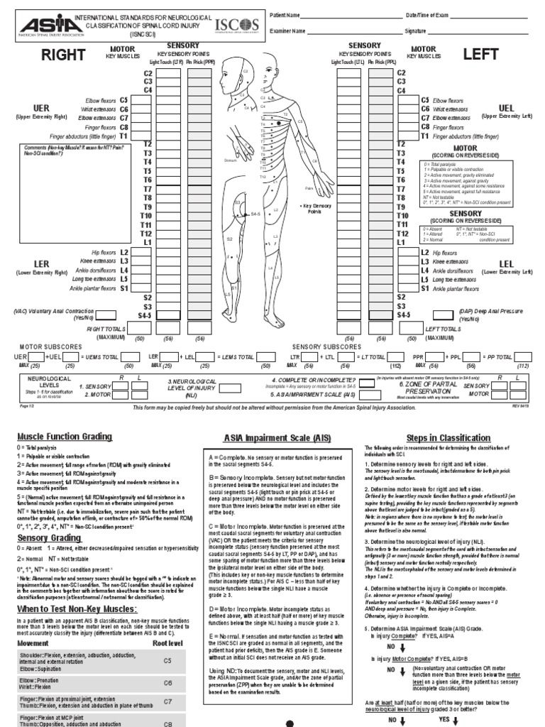 ASIA Spinal Cord Injury Form | PDF | Spinal Cord Injury | Anatomical ...
