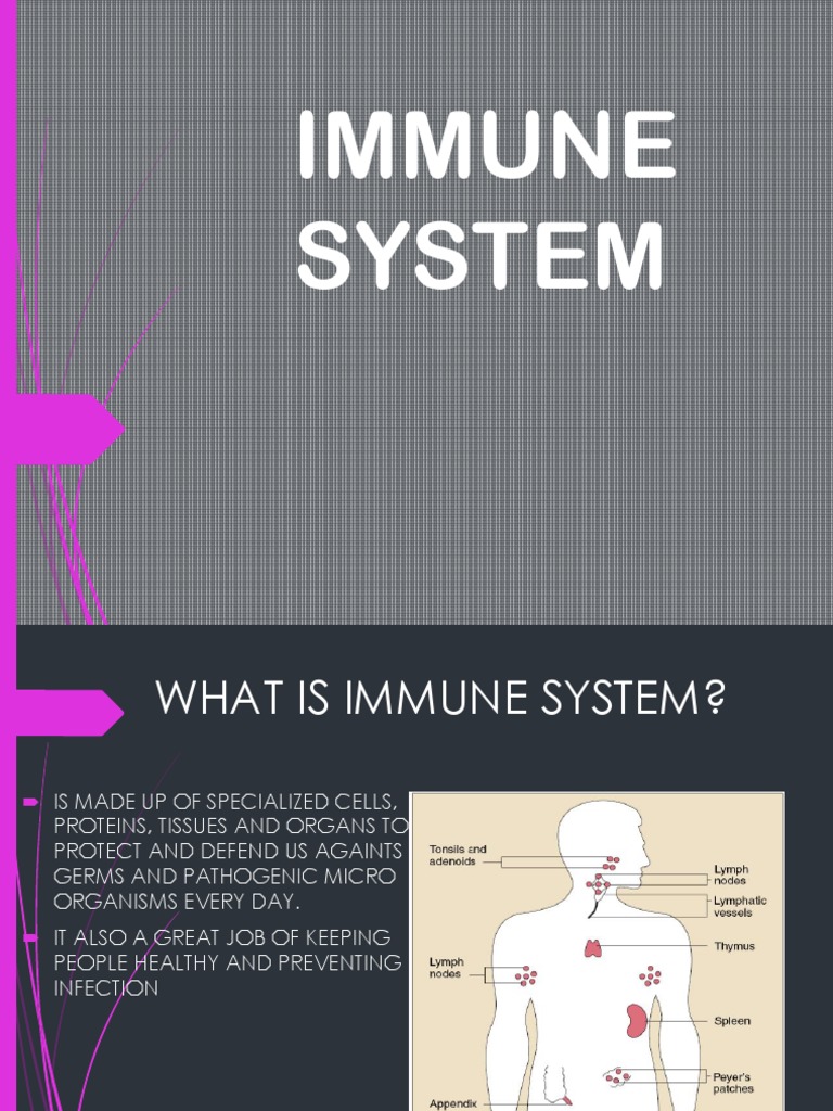 Immune System | PDF