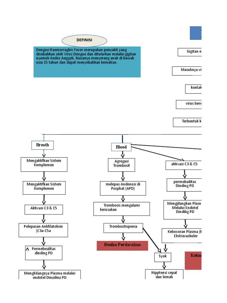 NEW MINDMAP DHF Full | PDF