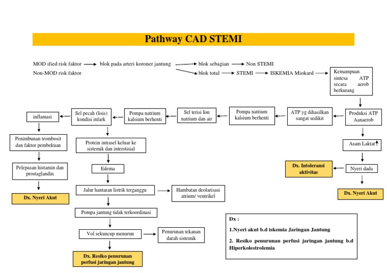 Pathway CAD STEMI Revisi | PDF