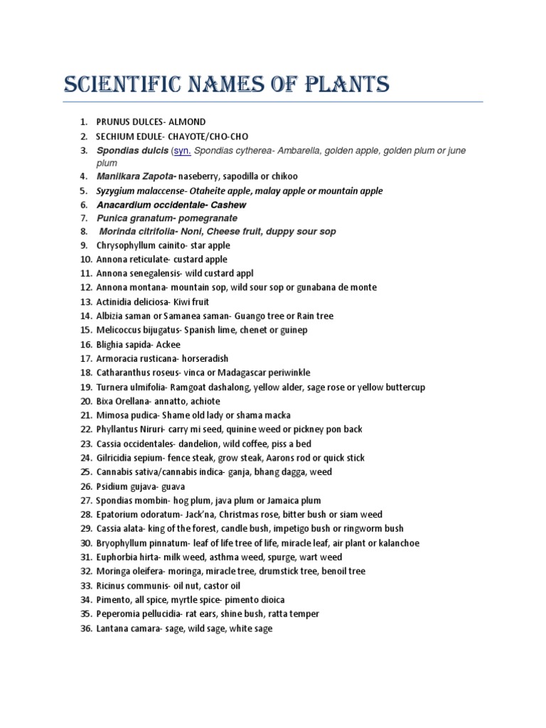 Scientific Names and Descriptions of Common Fruits and Plants | PDF ...