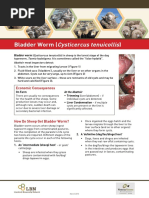 BSAVA PROTECT-ME Poster PDF | PDF | Infection | Urinary Tract Infection
