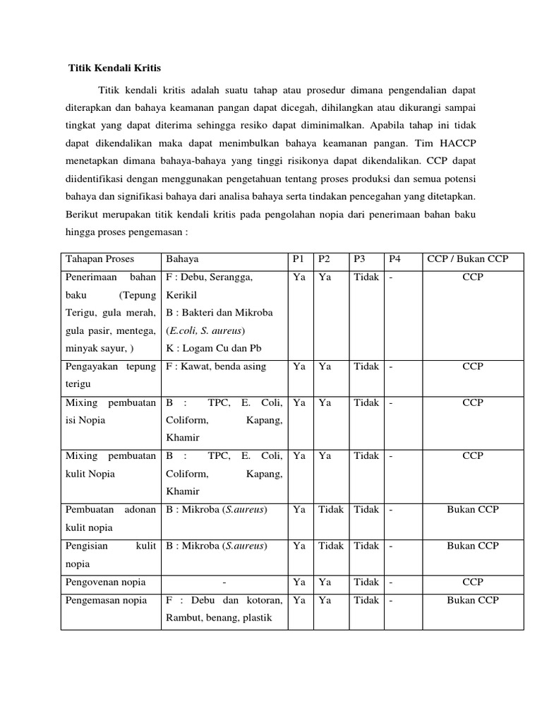 Titik Kendali Kritis | PDF