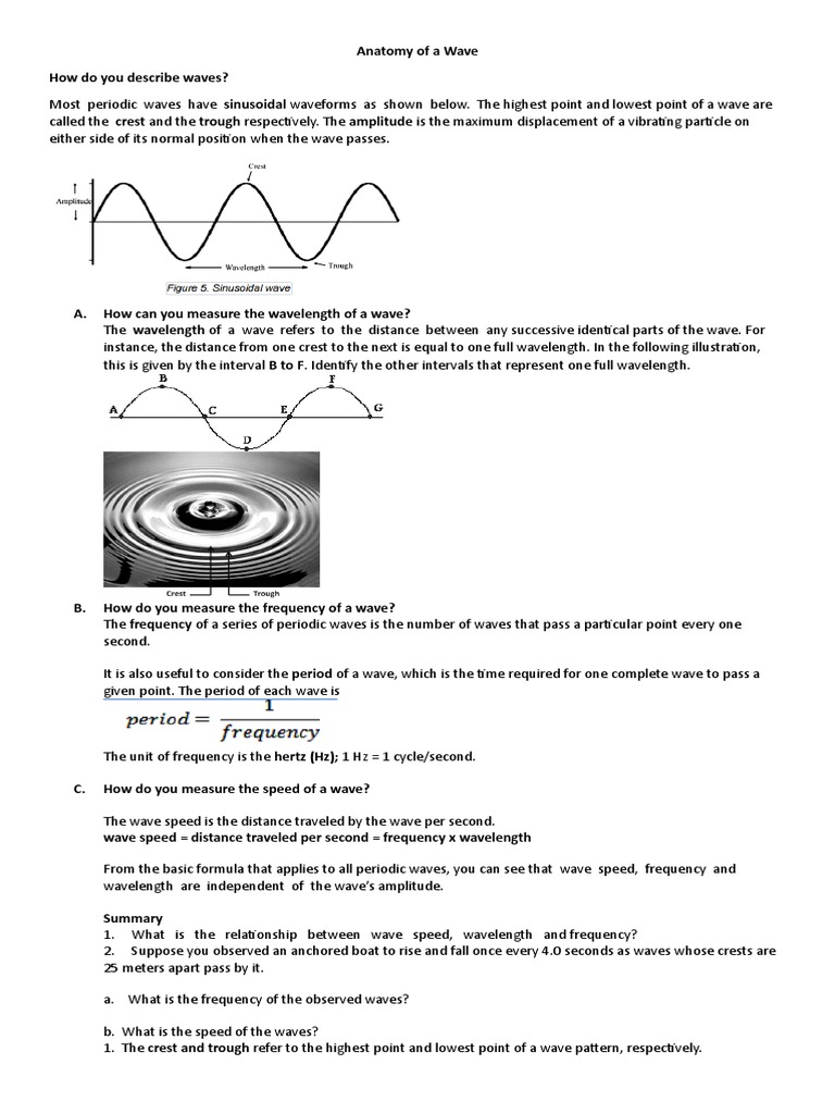 Anatomy of A Wave | PDF | Wavelength | Waves