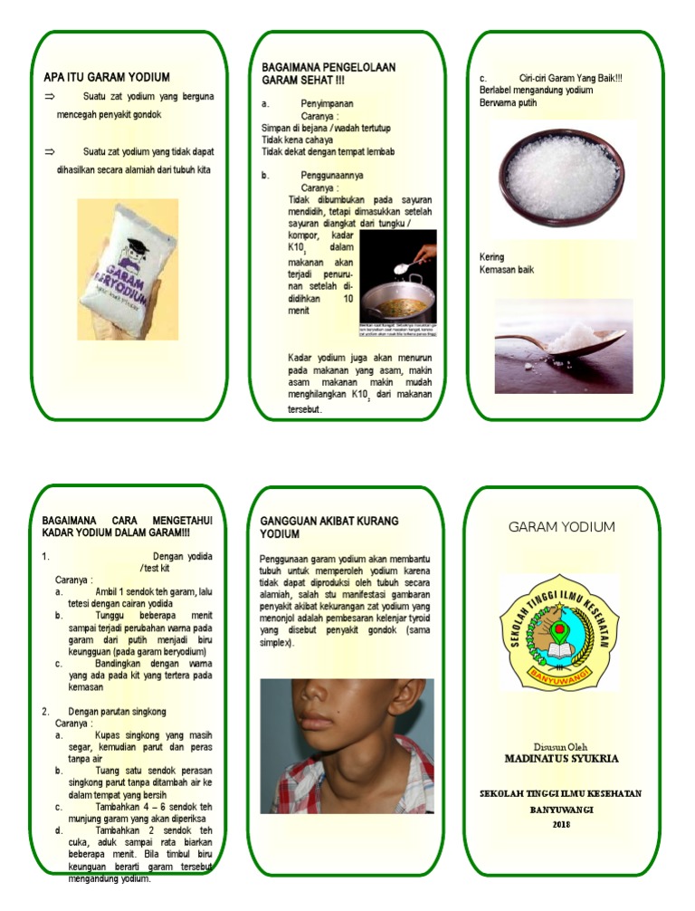 MENGENAL KANDUNGAN YODIUM DALAM GARAM | PDF