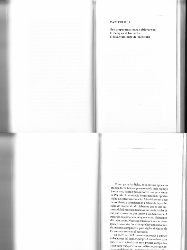 Treblinka-Chil Rajchman PDF | PDF | Tren | Varsovia