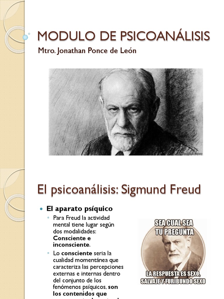 Psicoanalisis y Sus Escuelas | PDF | Carné de identidad | Mente inconsciente