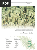 Mangrove Aerial Root Systems Explained | PDF | Root | Mangrove