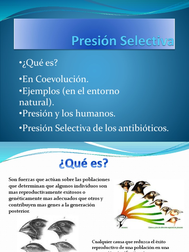 Presión Selectiva | PDF | Seleccion natural | Evolución