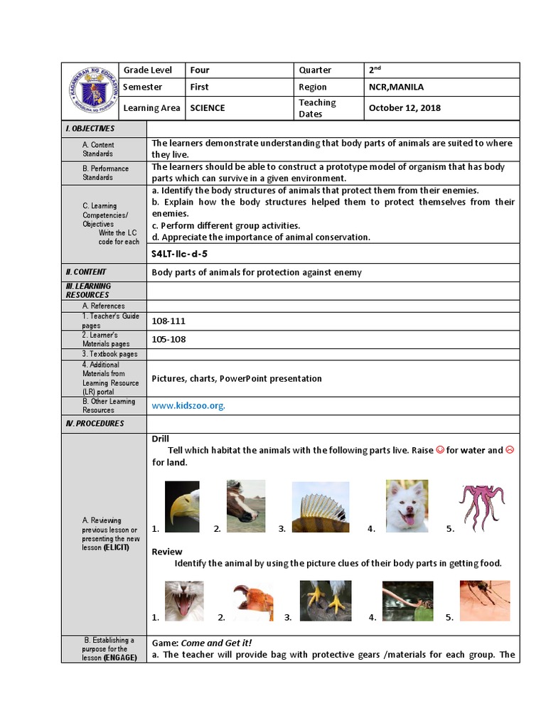 Sample DLL in Science IV | PDF | Learning | Teachers