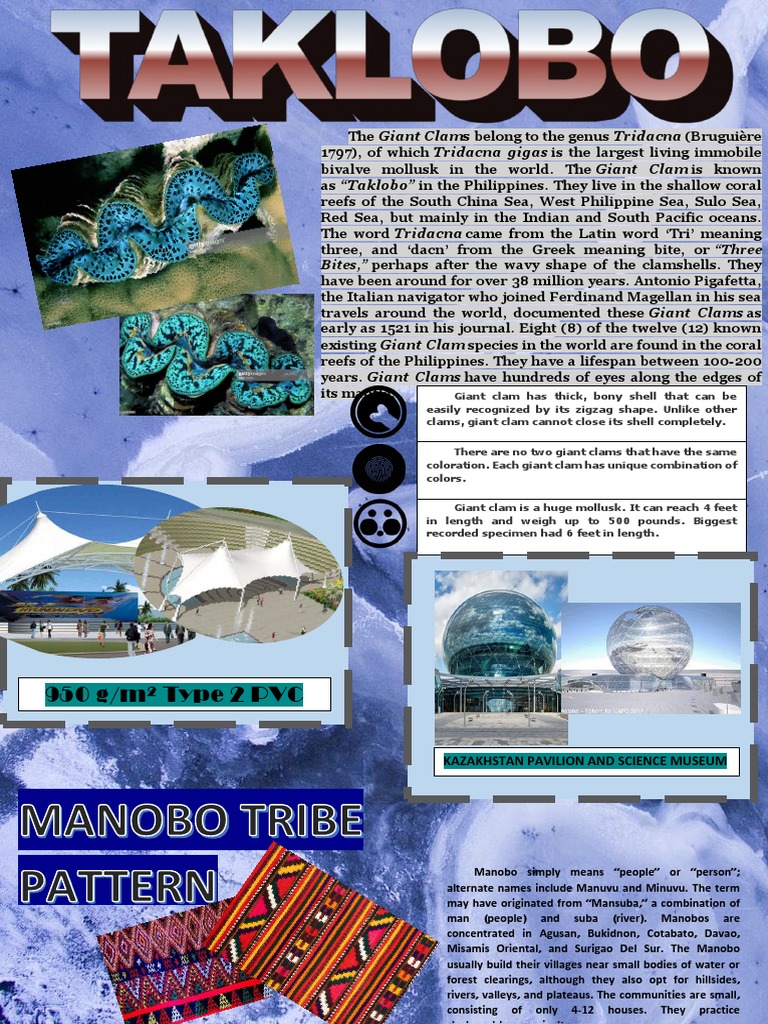 TAKLOBO | PDF | Bivalvia | Molluscs