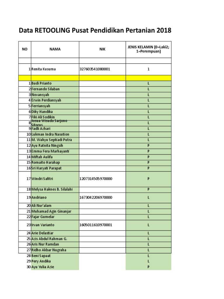 Data Retooling Pusdiktan | PDF