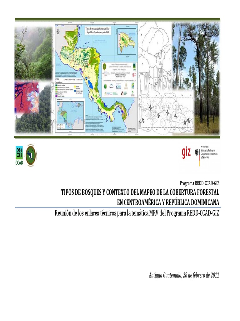Tipos de Bosques | PDF | Centroamérica | Deforestación
