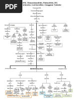 Pathway CKD Sdki | PDF