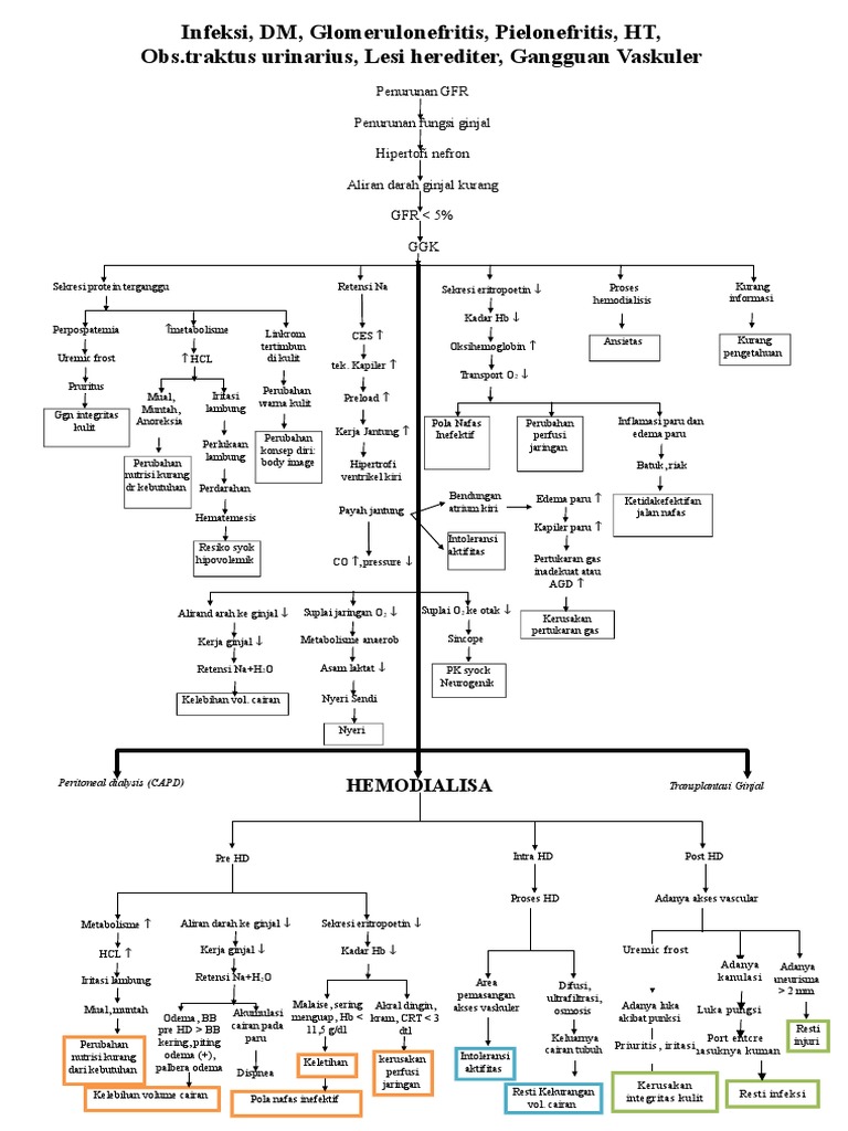 Pathway CKD On HD | PDF