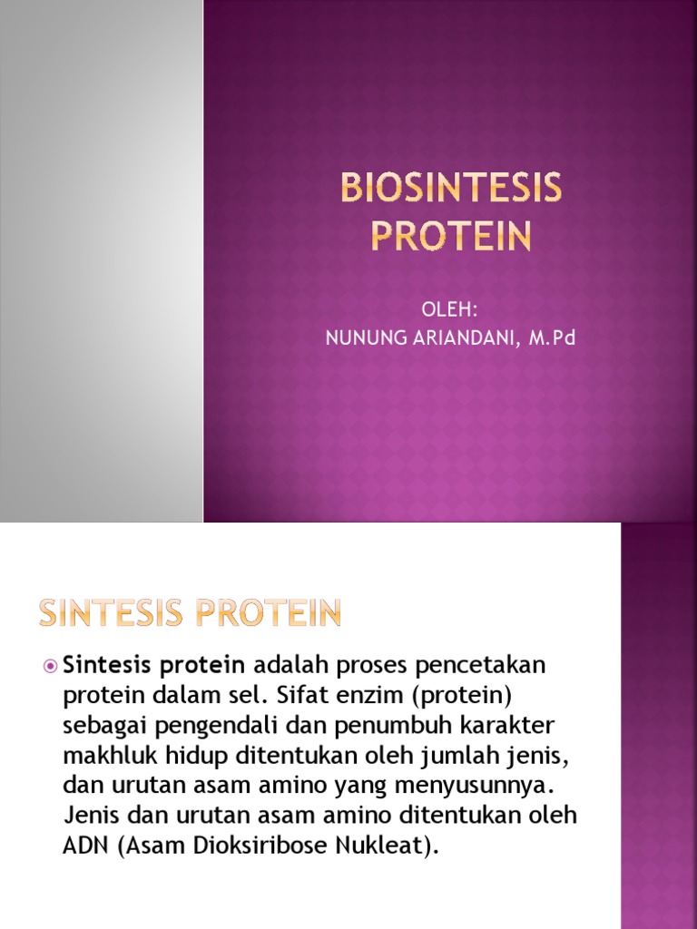 Biosintesis Protein | PDF