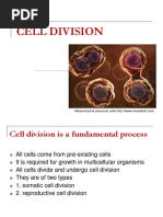 Chapter 3 ANATOMY AND PHYSIOLOGY CELL STRUCTURE & FUNCTION | PDF | Cell ...