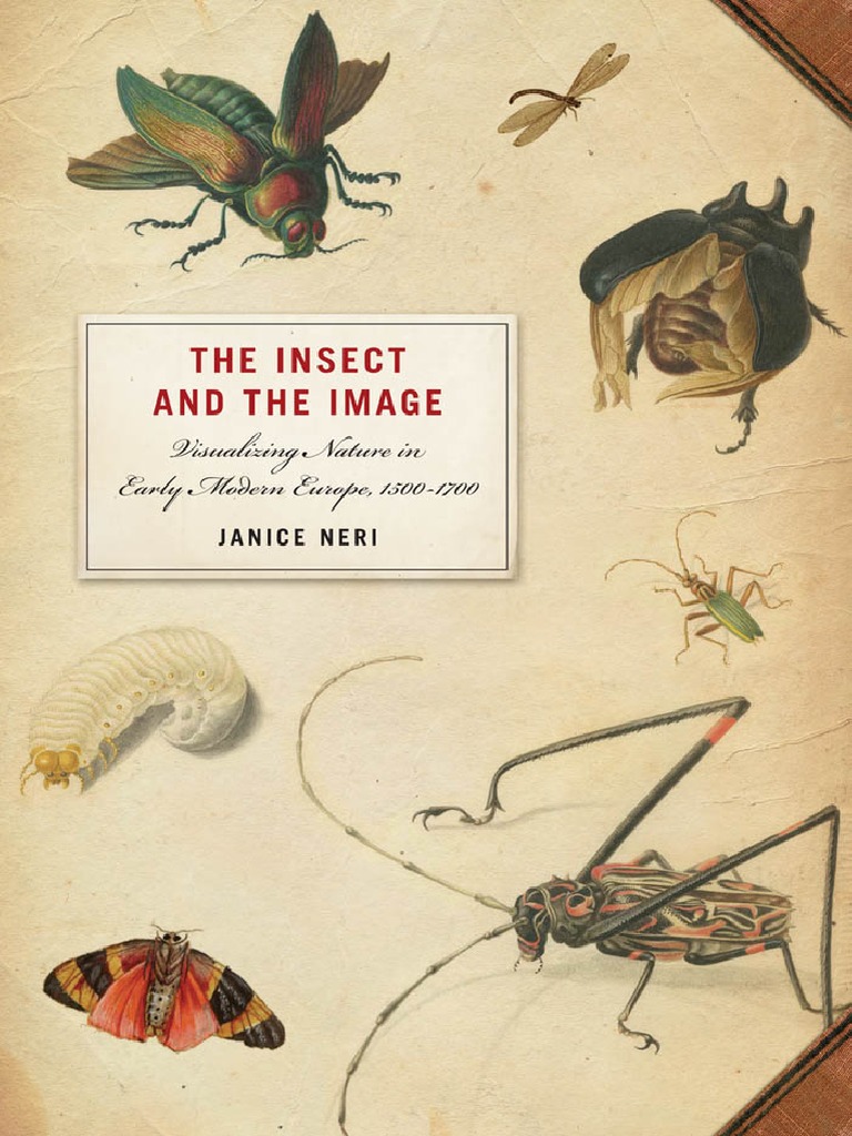 Neri - The Insect and The Image - Visualizing Nature in Early Modern ...