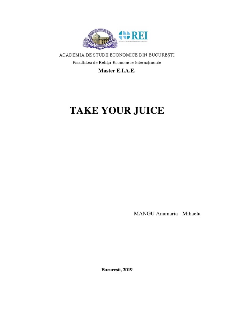 Plan-Afaceri ASE | PDF