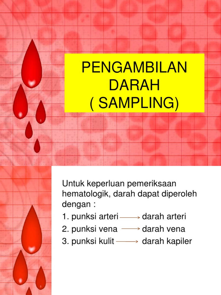 6 - Pengambilan Darah (Sampling) | PDF