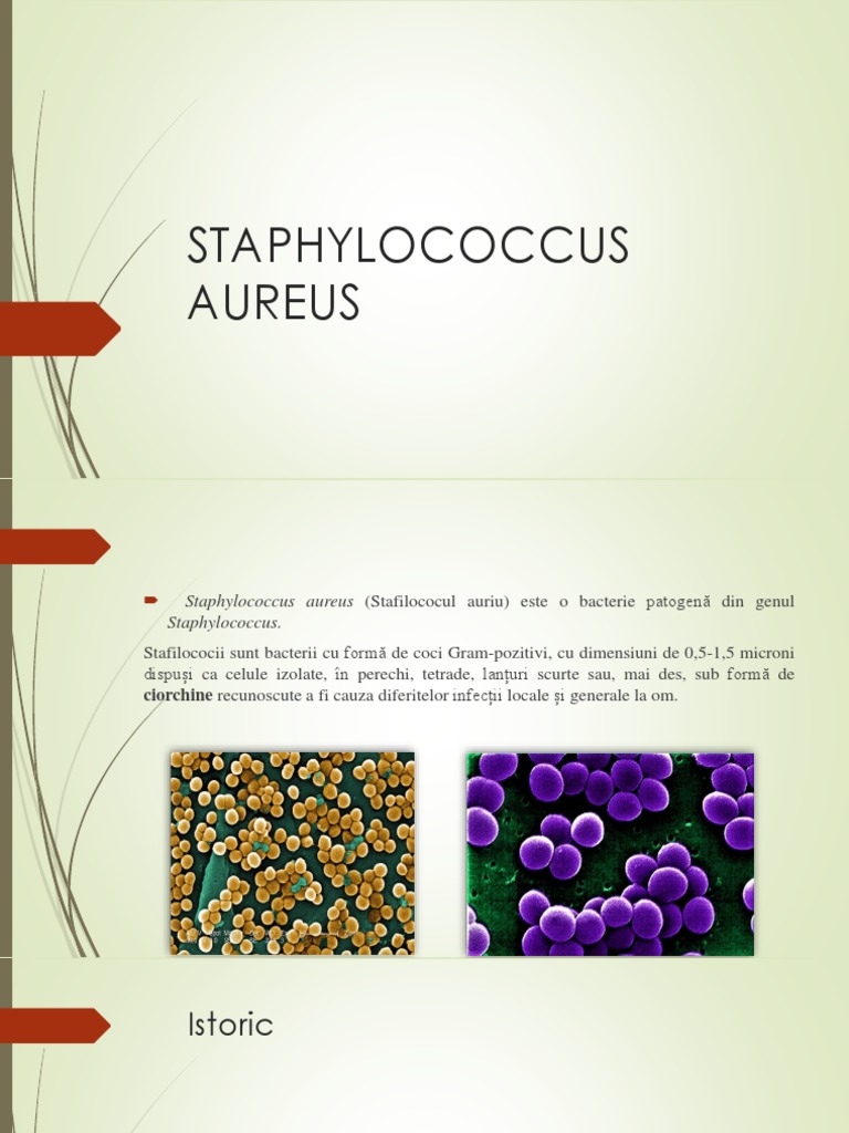 Staphylococcus Aureus PDF | PDF