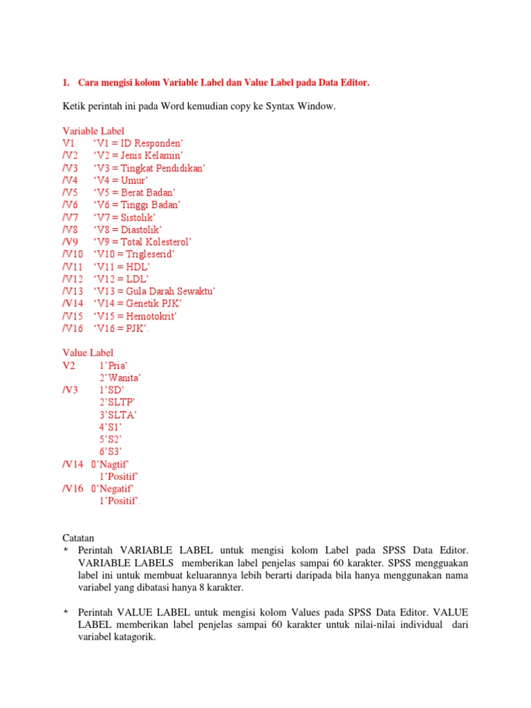 SPSS Input Data | PDF