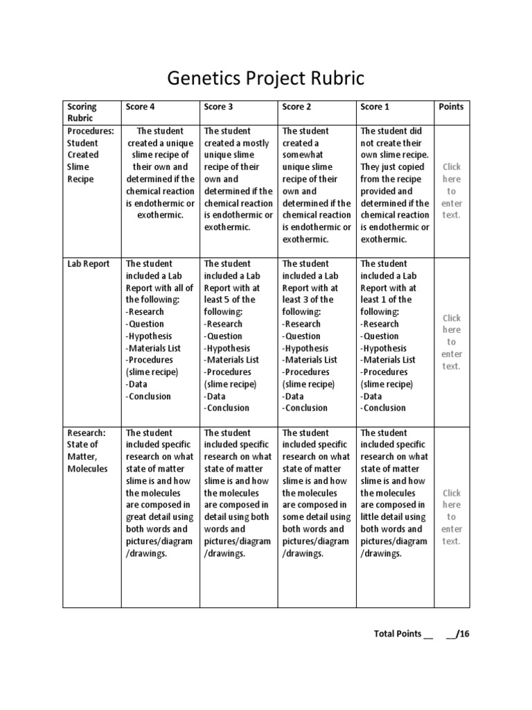 Chemistry Project Rubric | PDF | Chemistry | Chemical Reactions