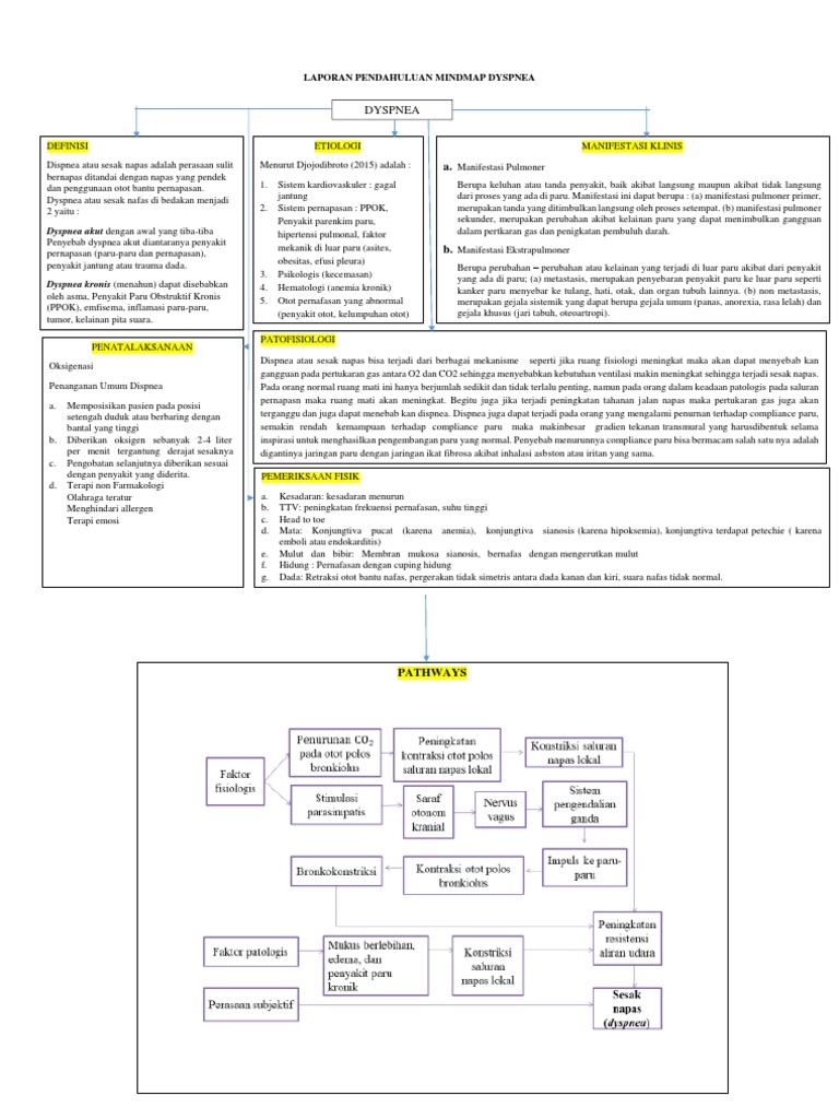 LP Mindmap Dyspnea | PDF