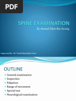 PA Axial Caldwell Method Overview | PDF | Skull | Radiography