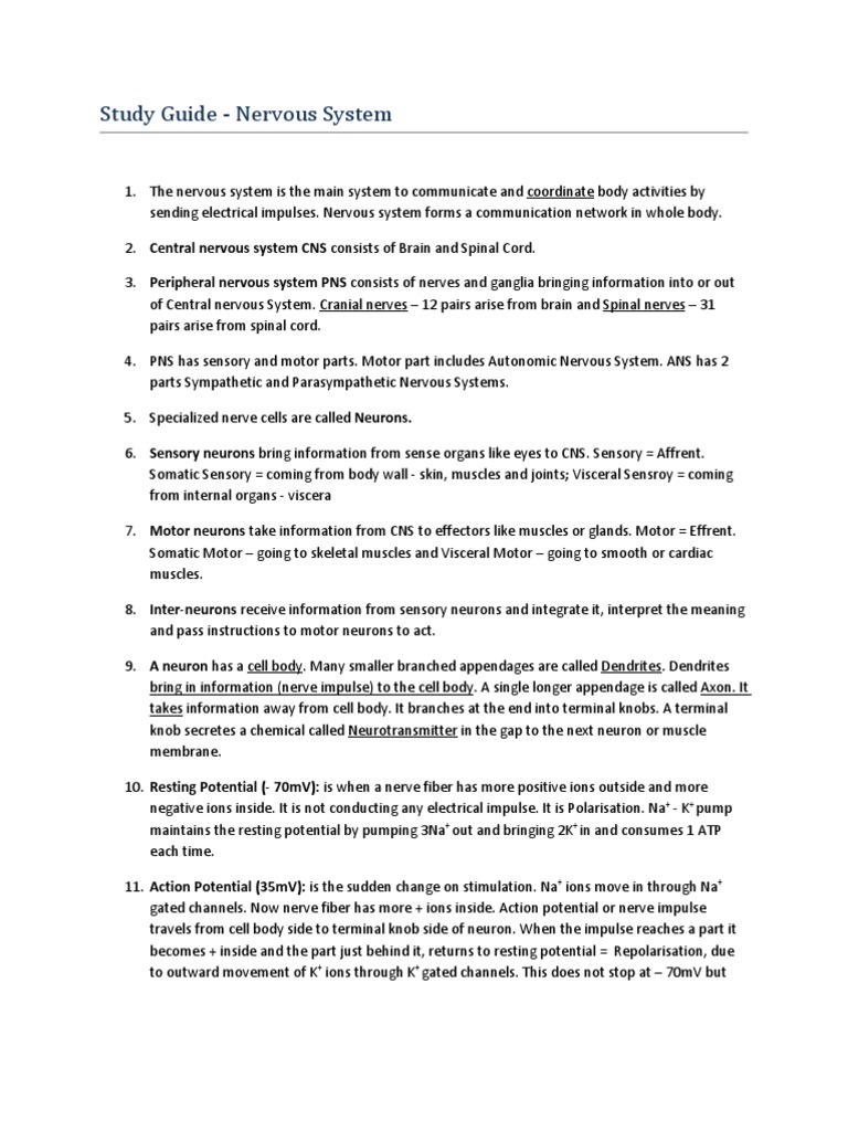 Nervous System Study Guide Overview | PDF | Cerebrum | Nervous System
