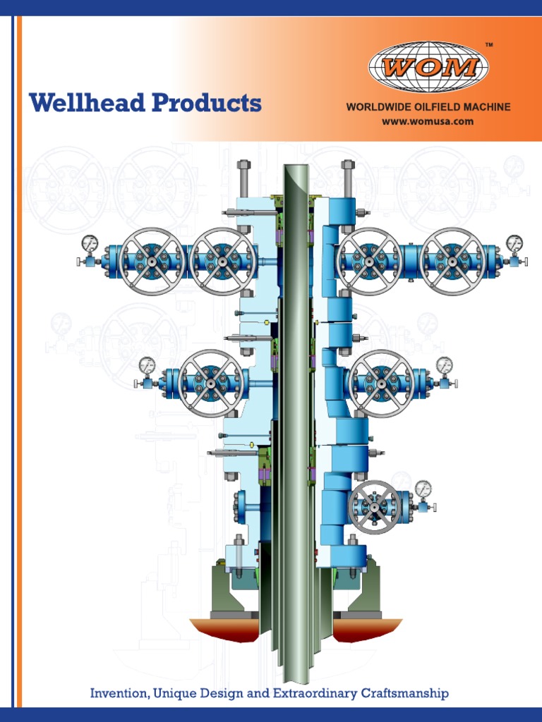 Wellhead Products | PDF | Casing (Borehole) | Pipe (Fluid Conveyance)