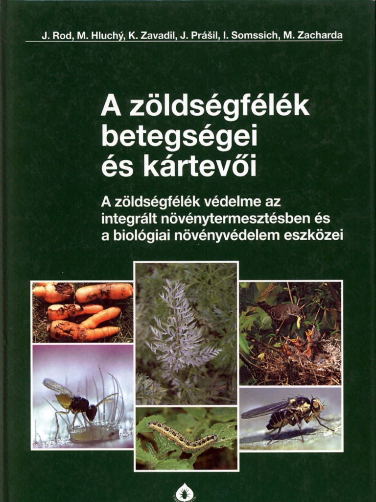 ZBK PDF | PDF