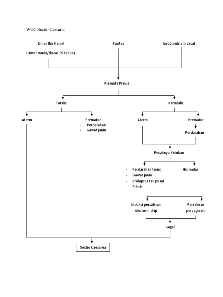 WOC Sectio Caesaria | PDF