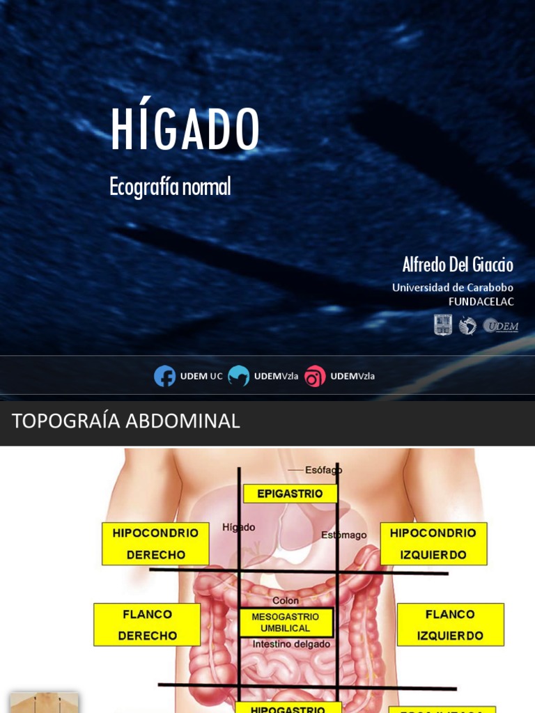2 - Higado Normal-V2 PDF | PDF | Hígado | Abdomen