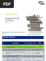 Comandos Rápidos para SAP Business One | PDF | Informática | Software