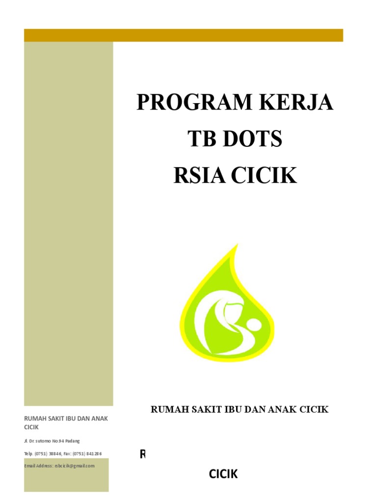 Program Kerja Tim TB Dots | PDF