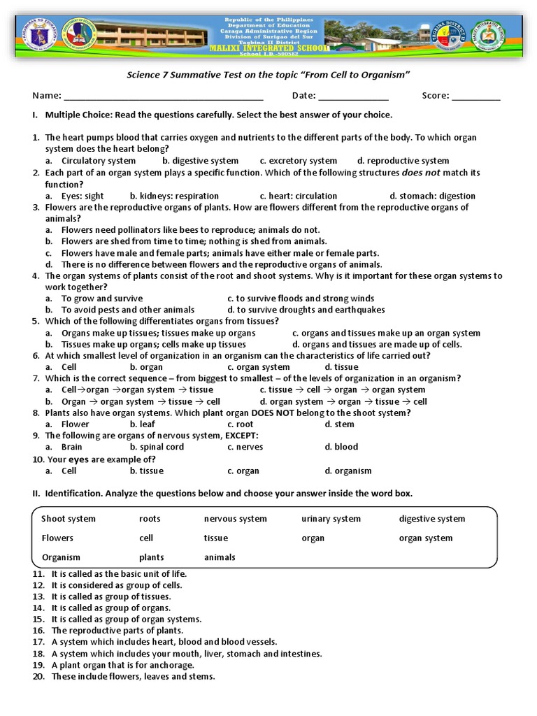 7th Grade Cells to Organ Systems Test | PDF | Organ (Anatomy) | Tissue ...