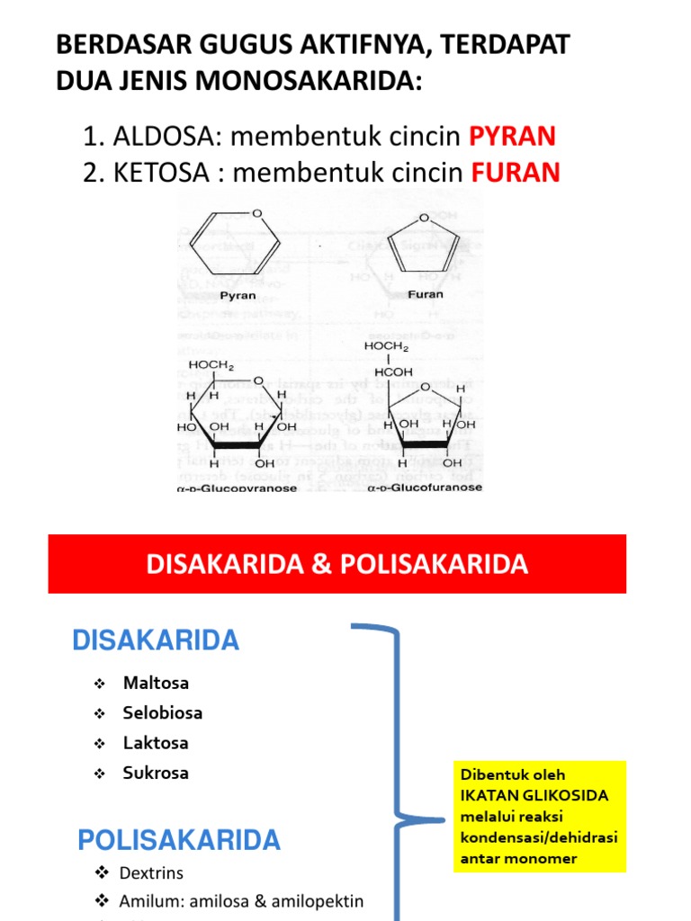 Karbohidrat Disakarida Dan Poliasakarida | PDF | Sains & Matematika