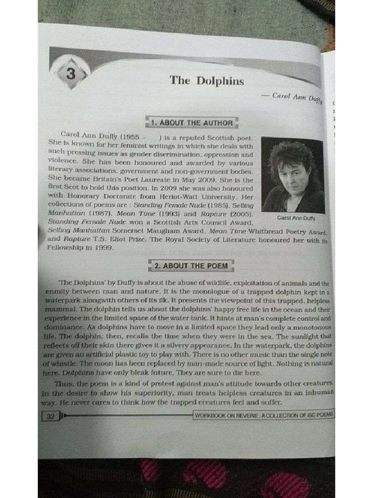 The Dolphin Workbook - 1 | PDF