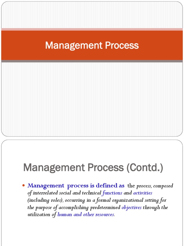 Management Process - FYBBI | PDF | Goal | Strategic Planning