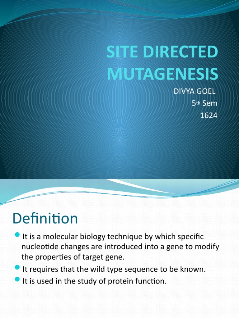 Site-Directed Mutagenesis Overview | PDF | Primer (Molecular Biology) | Dna