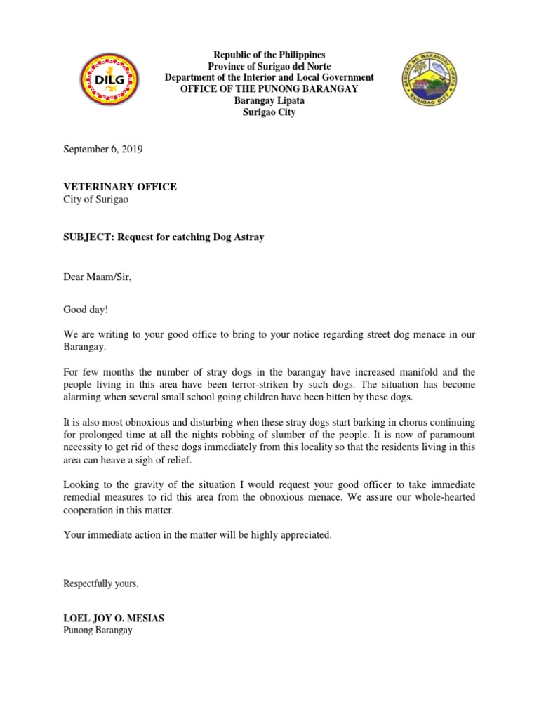 Request to Catch Stray Dogs in Barangay Lipata | PDF