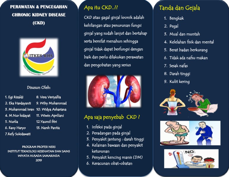 Leaflet CKD | PDF | Kesehatan Holistik