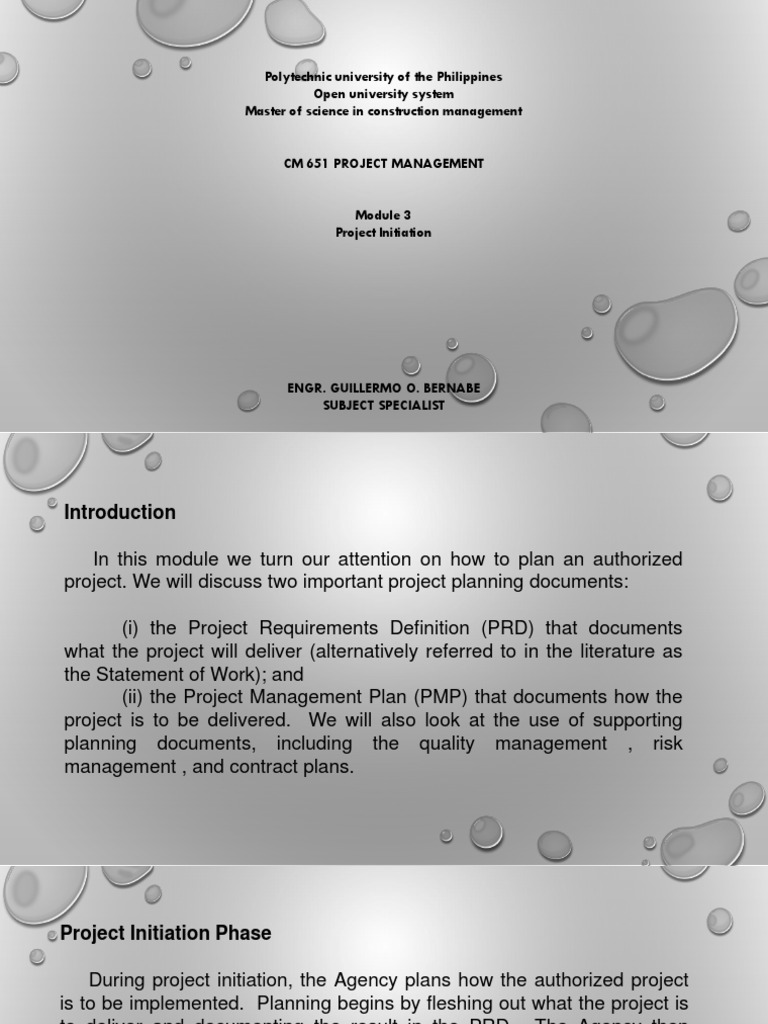 Module 3 Project Initiation | PDF | Risk Management | Project Management