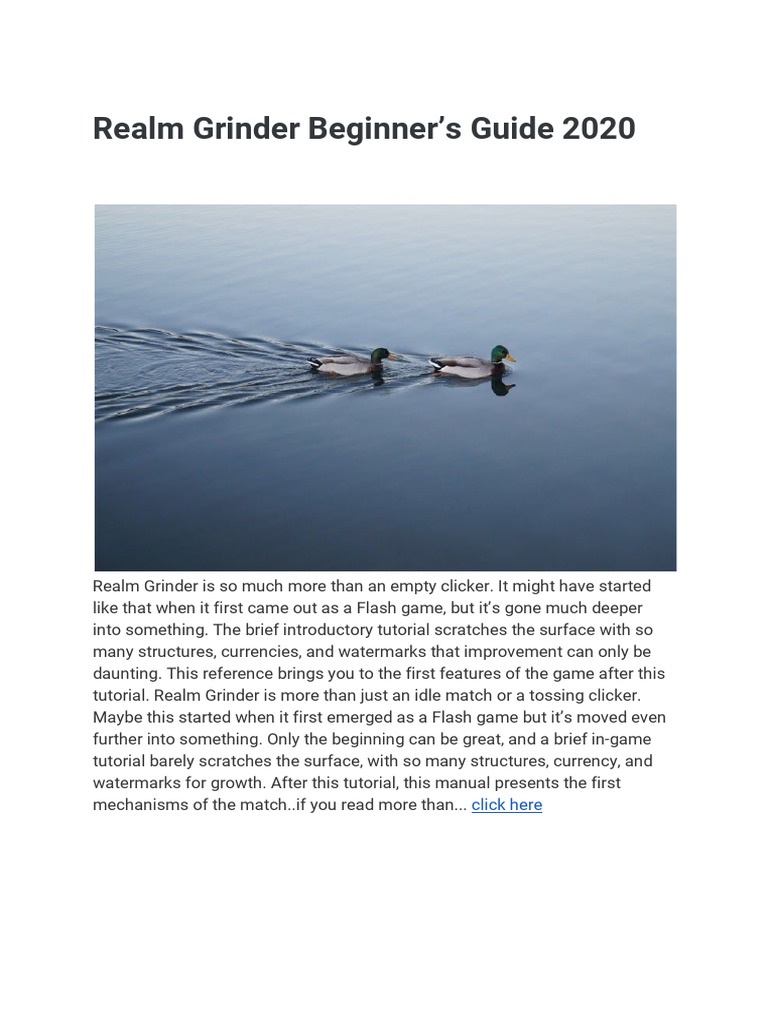 Realm Grinder Beginner's Guide 2020 | PDF