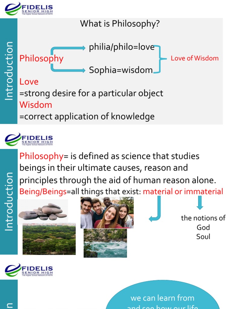 Understanding Philosophy and Its Branches | PDF | Argument | Metaphysics