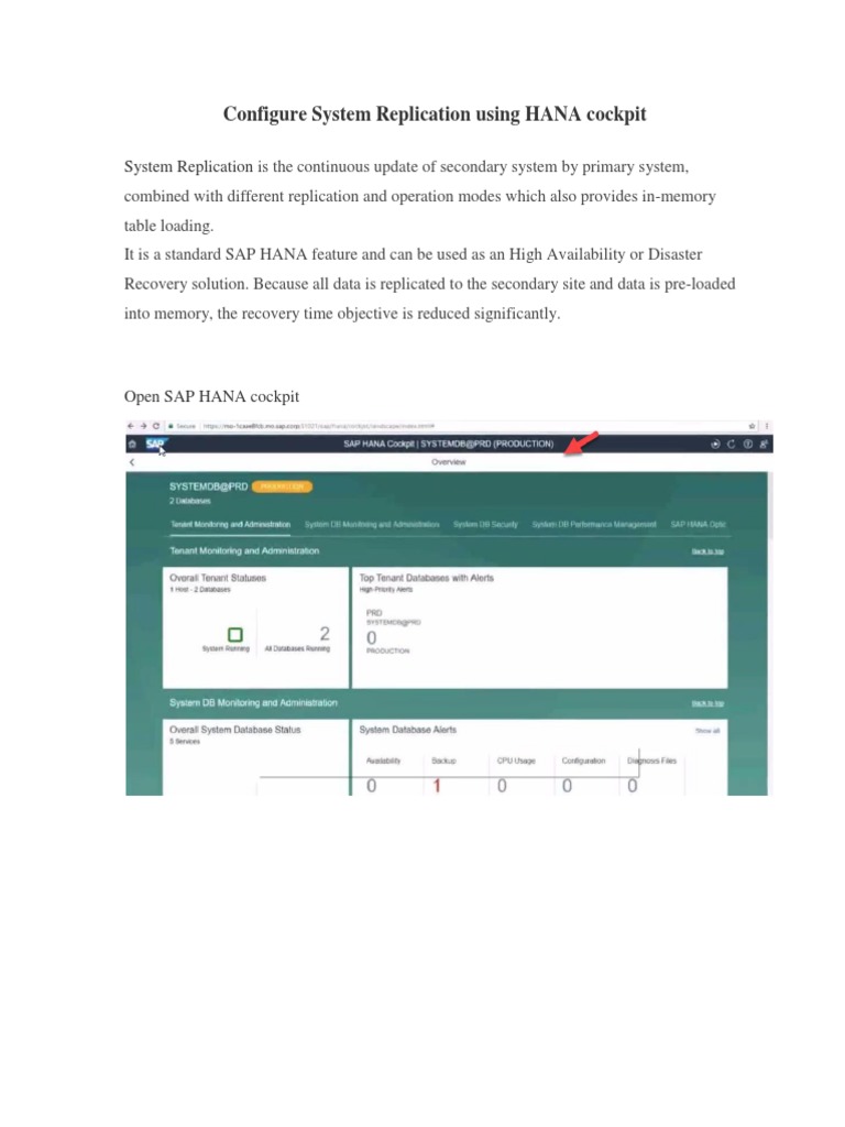 Configure System Replication Using HANA Cockpit | PDF